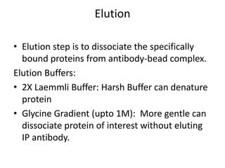 Immunoprecipitation: Procedure, Analysis and Applications | PPTX