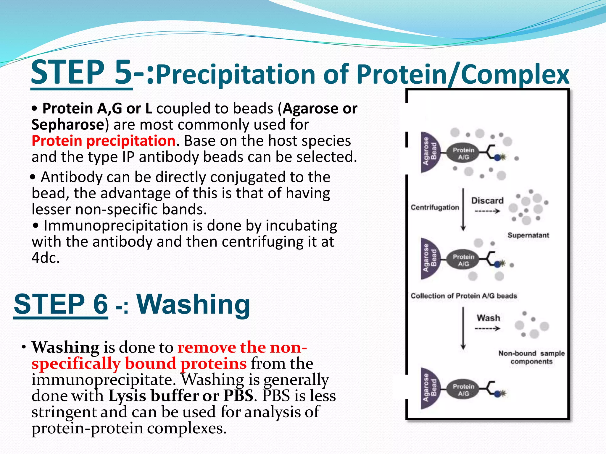 Immunoprecipitation Presentation | PPTX