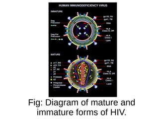 Immuno presentation: hiv | PDF