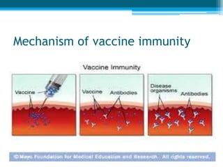 Immunoprophylaxis | PPTX