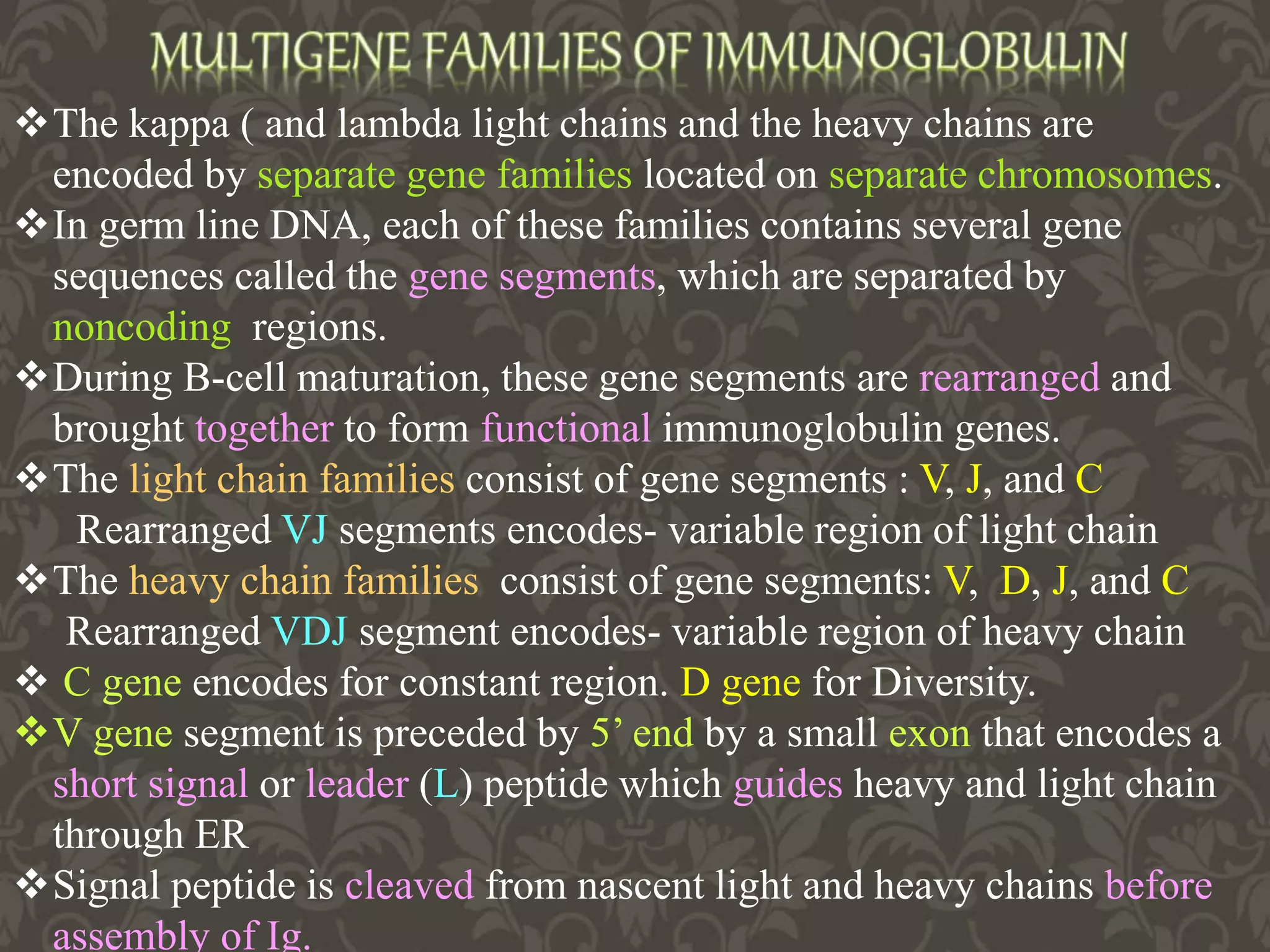 Generation of Antibody Diversity- Quick revision from Kuby through ...
