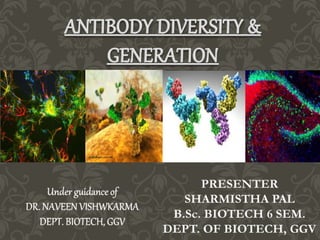 Generation of Antibody Diversity- Quick revision from Kuby through ...