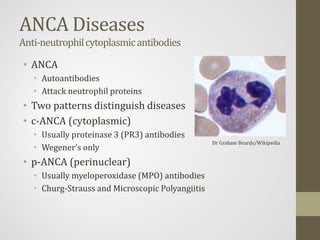 ImmunoSlides-393-424.pdf