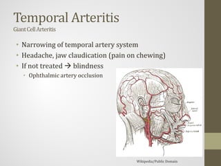 ImmunoSlides-393-424.pdf