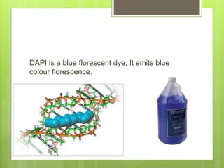 Immunostaining | PPTX