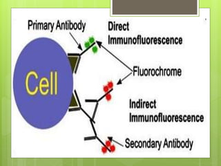 Immunostaining | PPTX