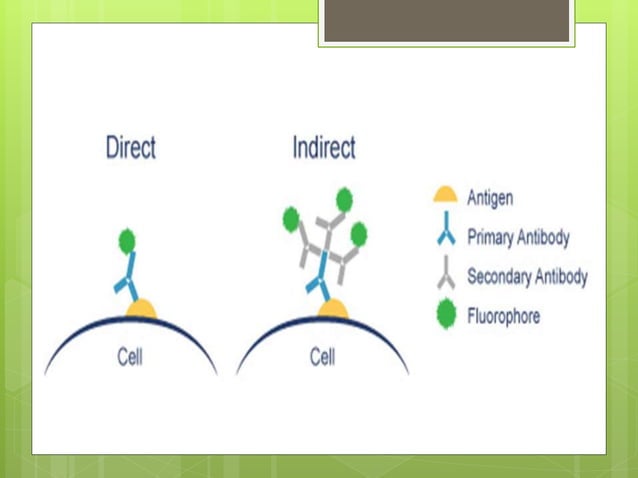 Immunostaining | PPTX