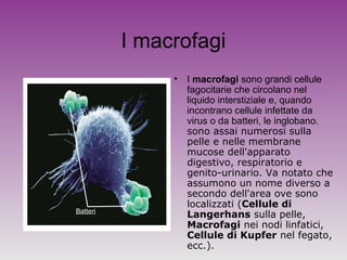Immunostimolanti | PPT