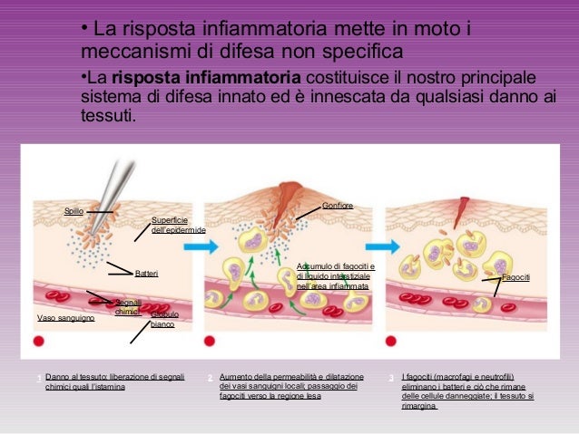 Immunostimolanti