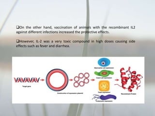 Immunostimulant | PPTX