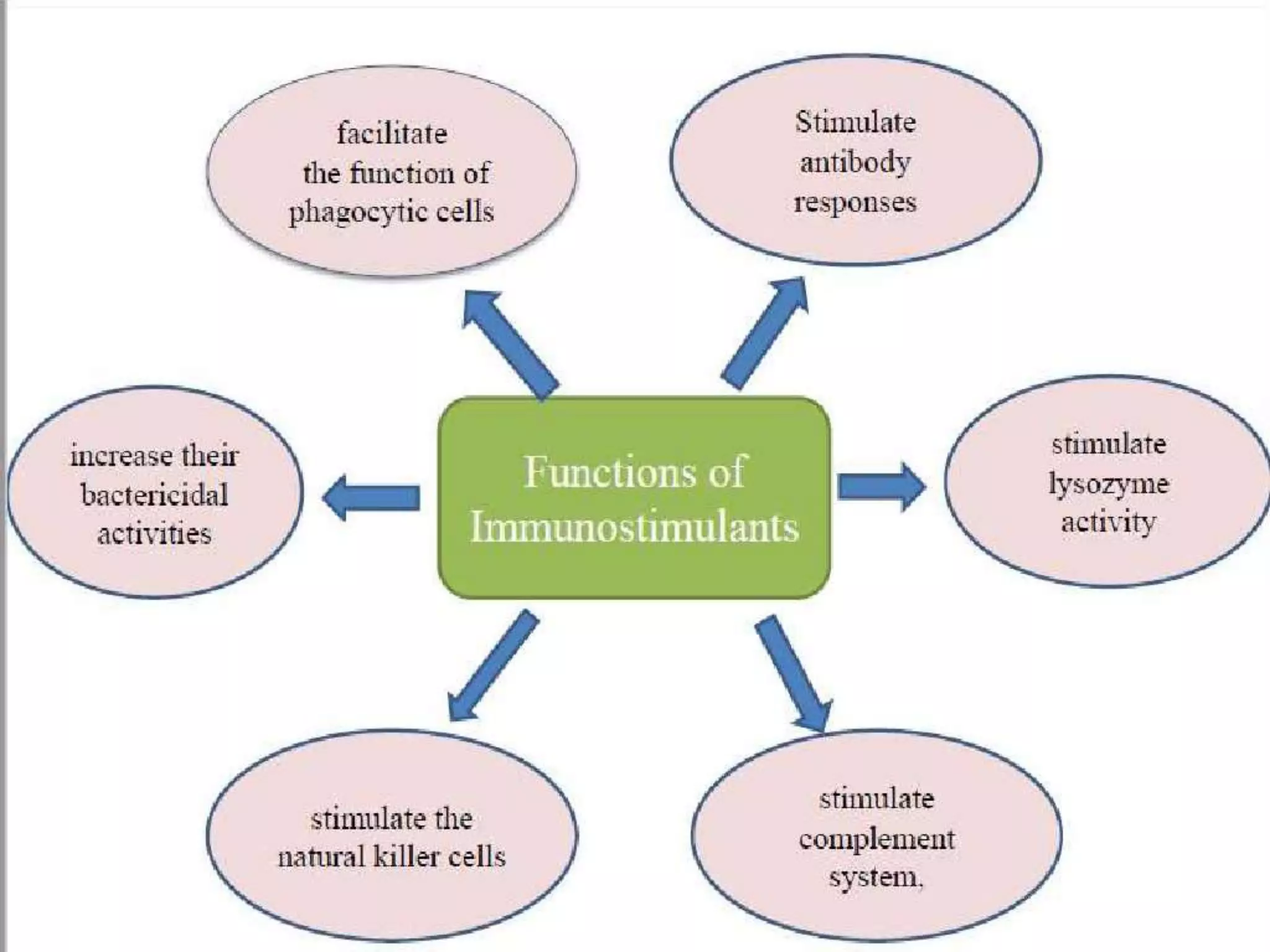 Immunostimulants | PPT