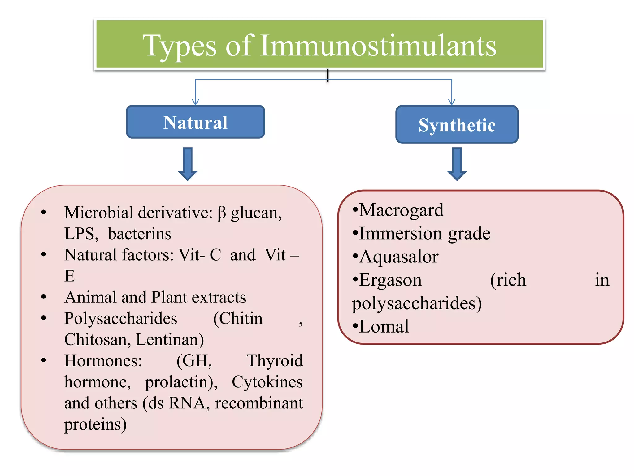 Immunostimulants role in aquaculture | PPTX