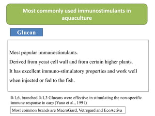 Immunostimulants role in aquaculture | PPTX