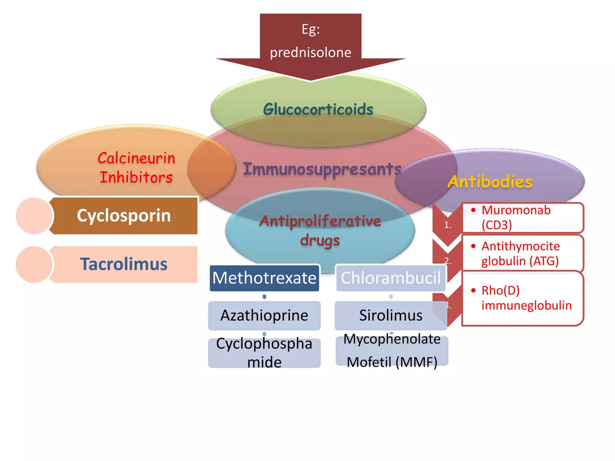 Immunosuppresants | PPTX