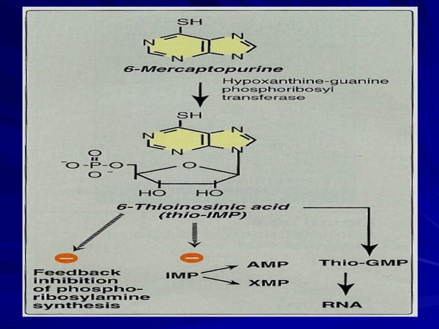 IMMUNOSUPPRESSANT DRUGS-232.ppt,,,,,,,,, | PPT | Biological Sciences | Science