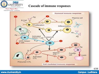 Immunosuppressant drugs by Pankaj Maurya | PPT