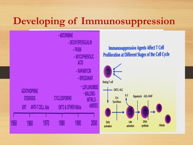 Immunosuppressant drugs tdm laboratory perspective | PPT
