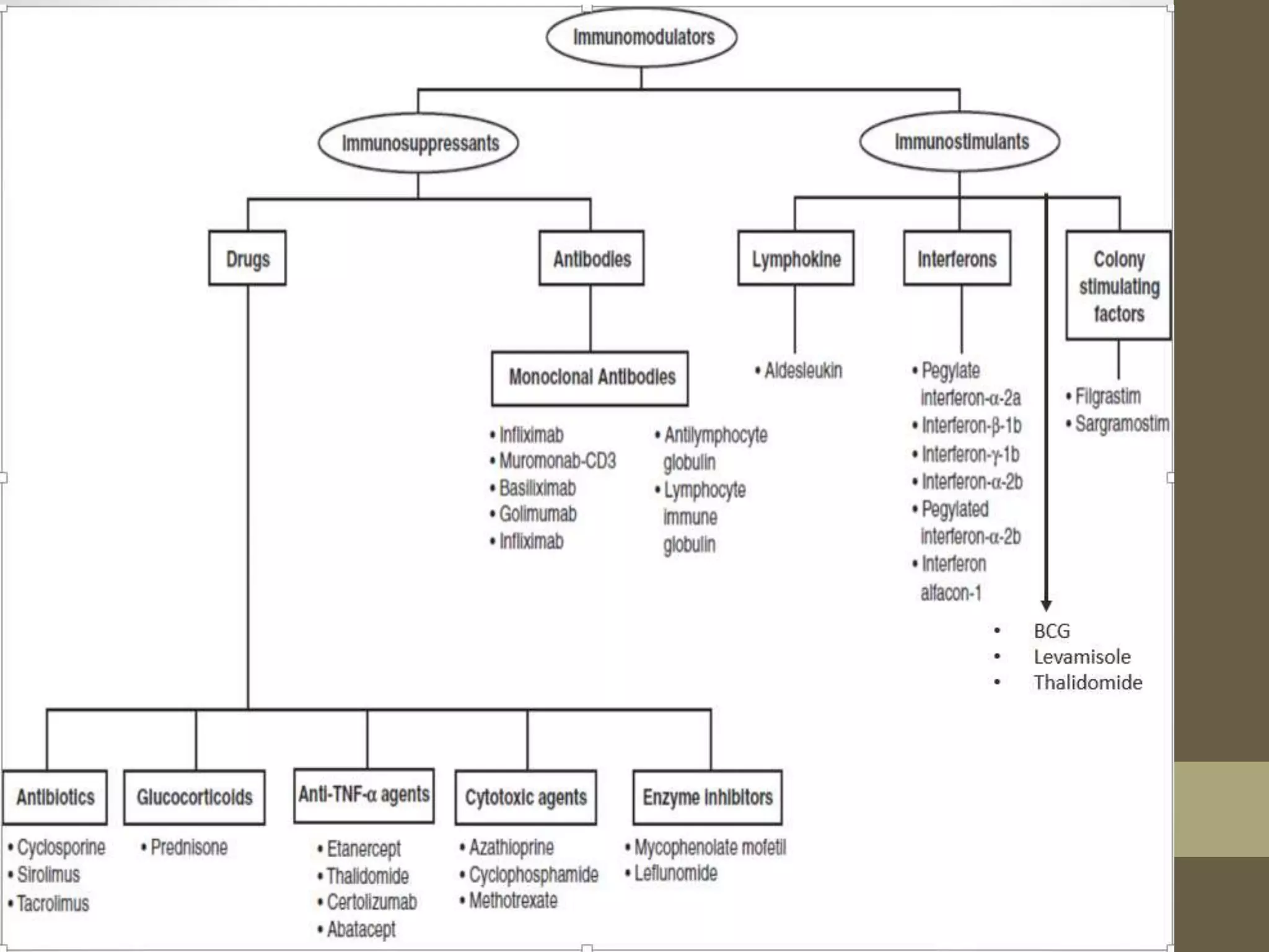 Immunomodulators | PPTX