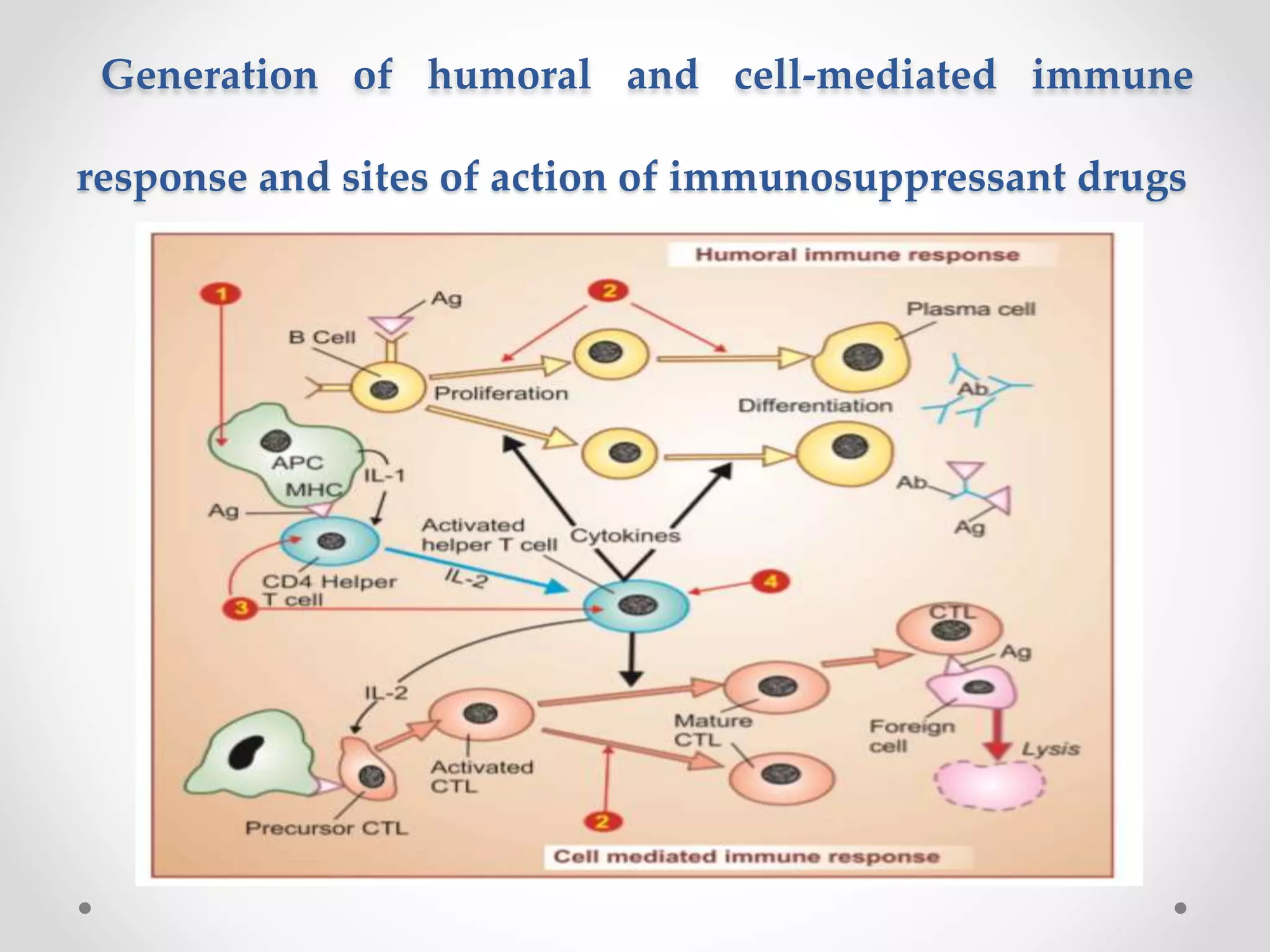 Immunosuppressants Pharmacology | PPTX