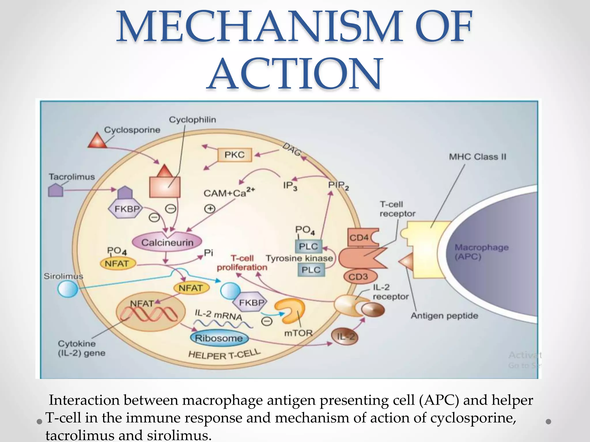 Immunosuppressants Pharmacology | PPTX