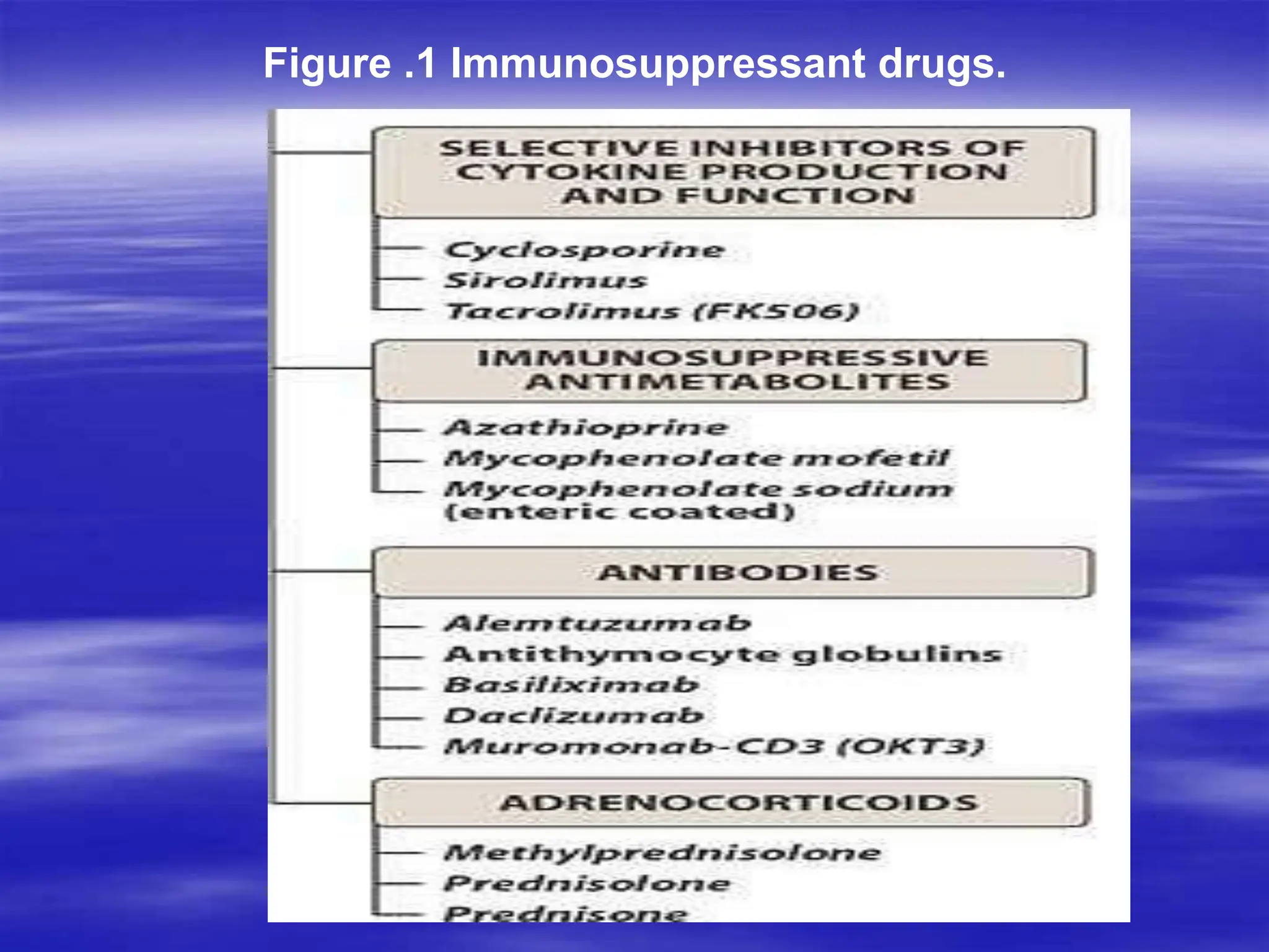 Immunosuppressants pharmacology final.ppt