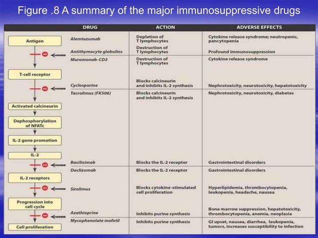 Immunosuppressants pharmacology final.ppt