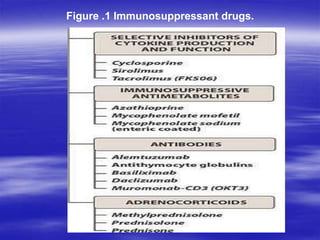 Immunosuppressants pharmacology final.ppt