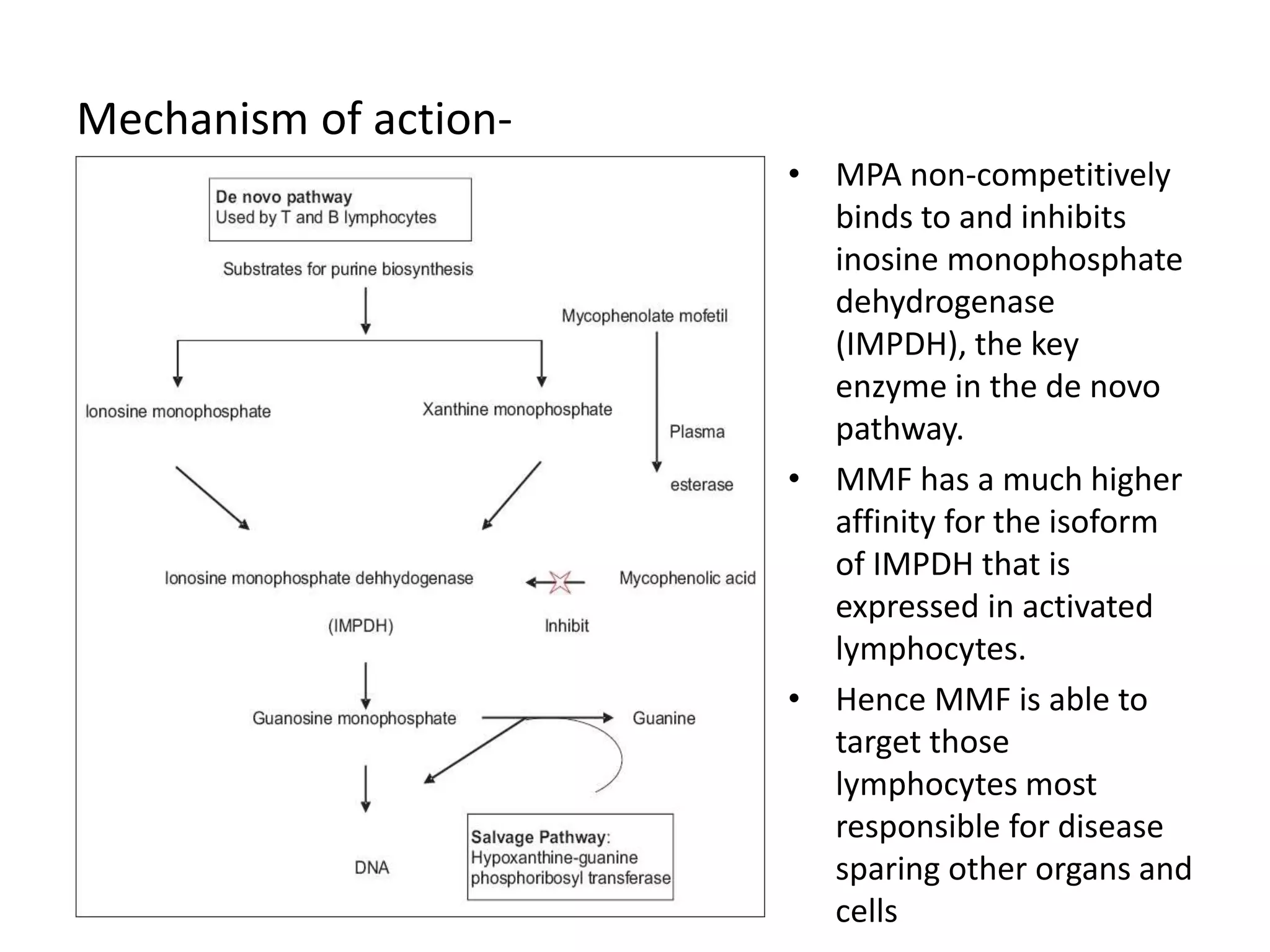 Immunosuppressives in dermatology tut..pptx