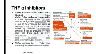 Immunosupressants | PPTX | Genetics | Science