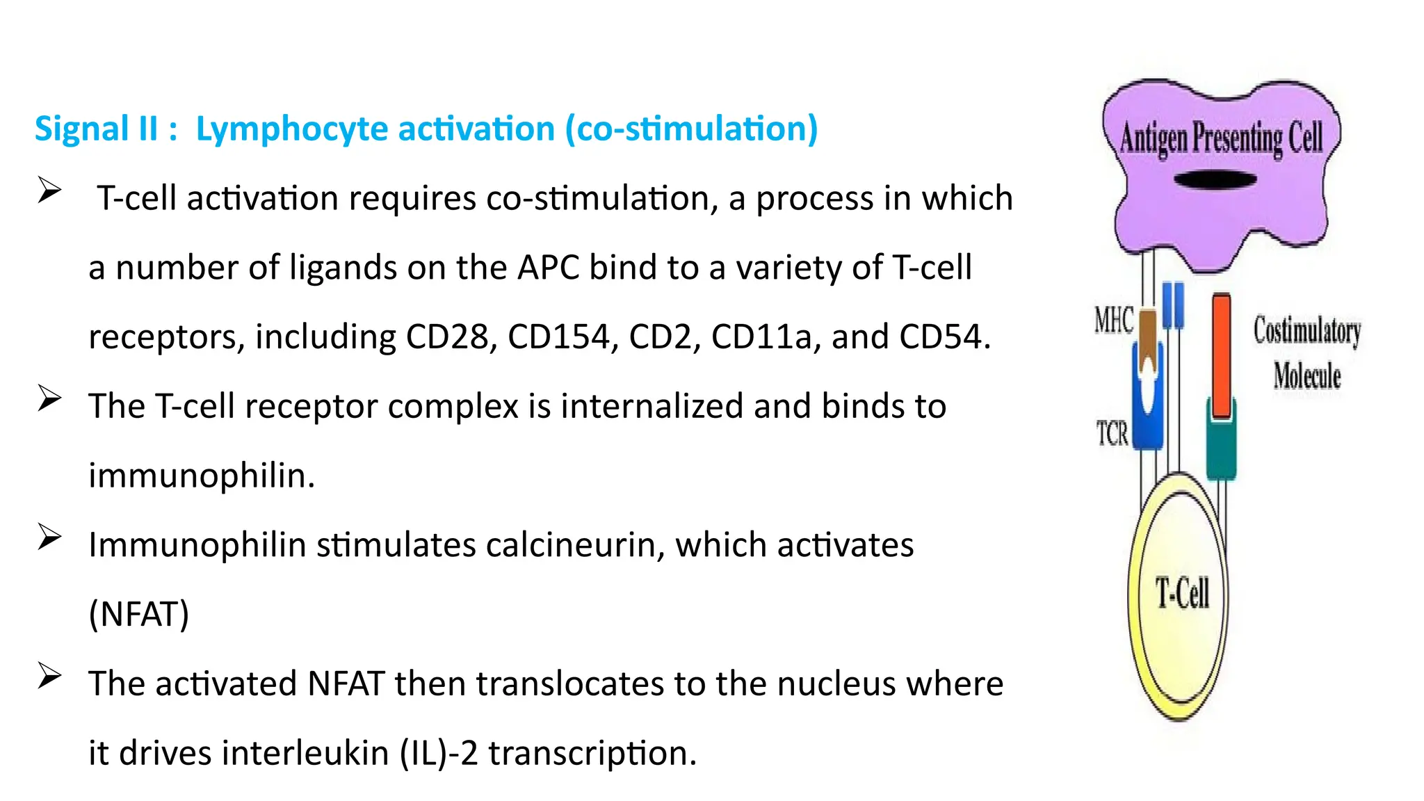 Immunosupression In Liver Transplant..pptx