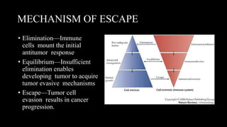 Immunosurveillance | PPTX