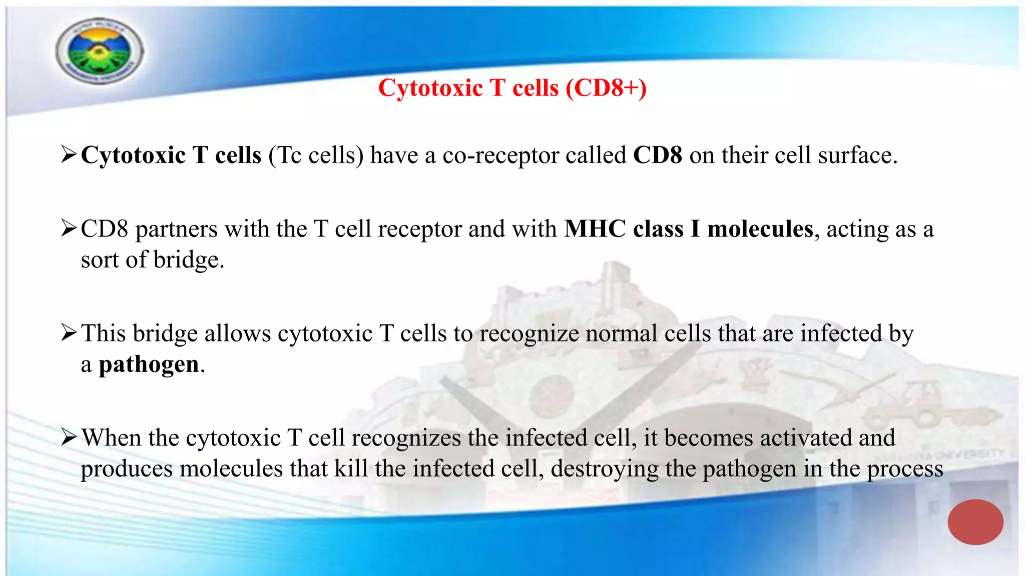immunotech assignment (2) (1).pptx