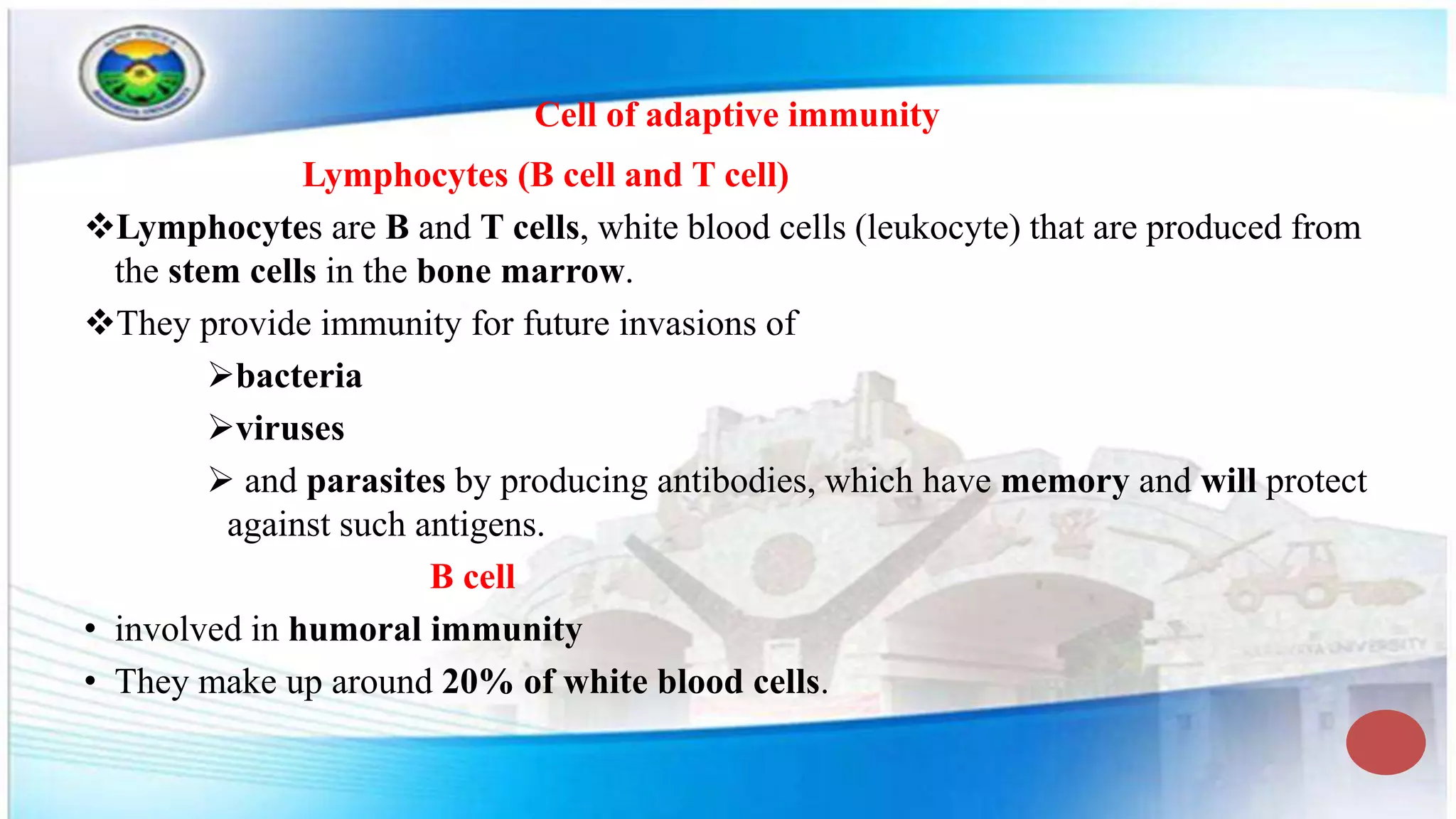 immunotech assignment (2) (1).pptx