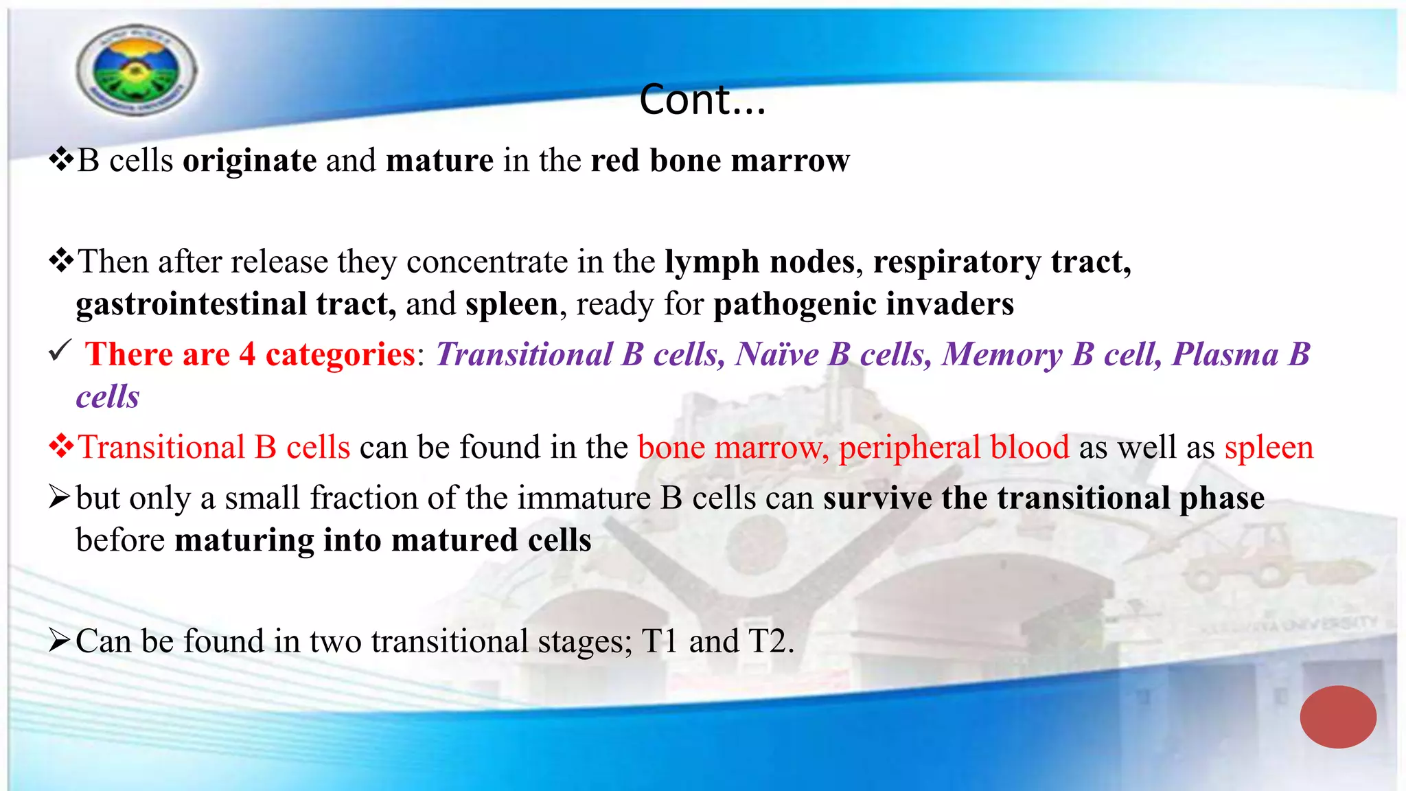 immunotech assignment (2) (1).pptx