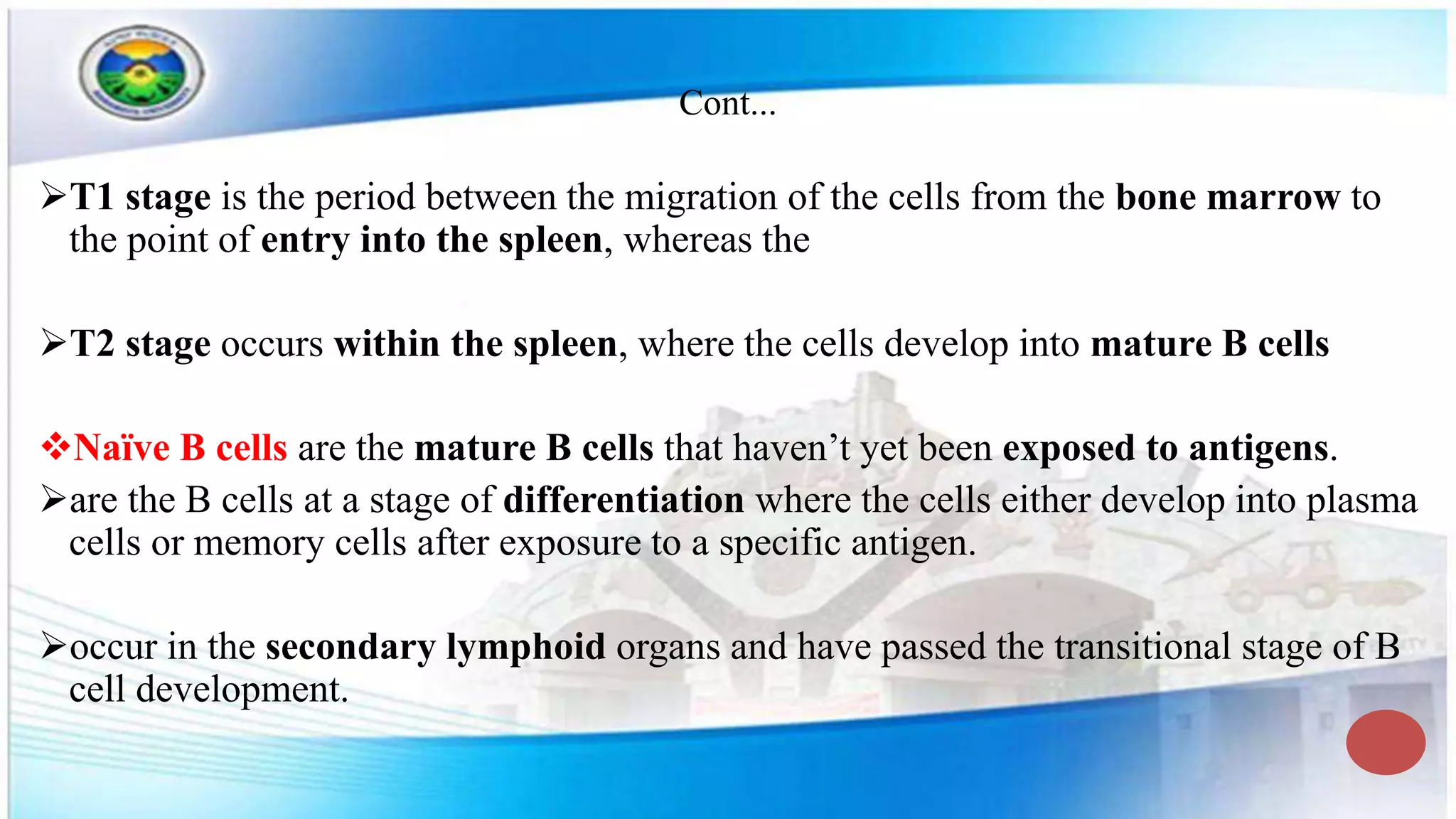 immunotech assignment (2) (1).pptx