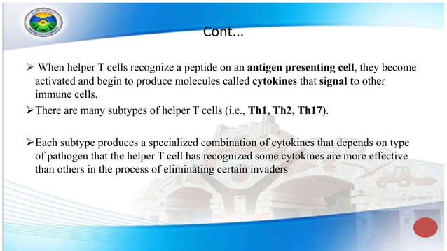 immunotech assignment (2) (1).pptx