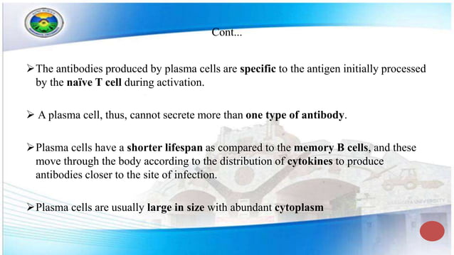 immunotech assignment (2) (1).pptx