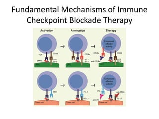 Immunotherapeutic approaches in cancer | PPT
