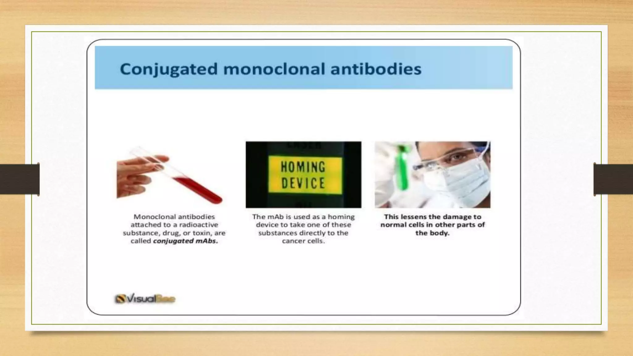 Immunotherapeutics ( types of Immunotherapeutics & humanization ...