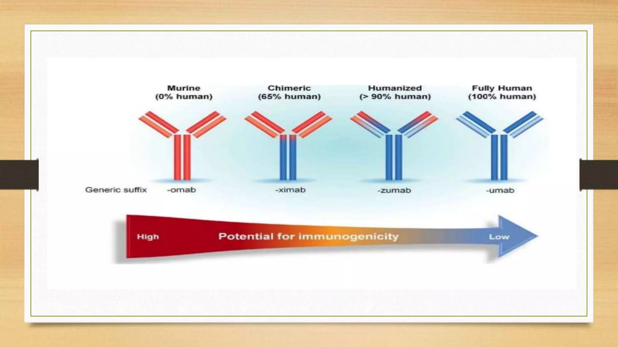 Immunotherapeutics ( types of Immunotherapeutics & humanization ...