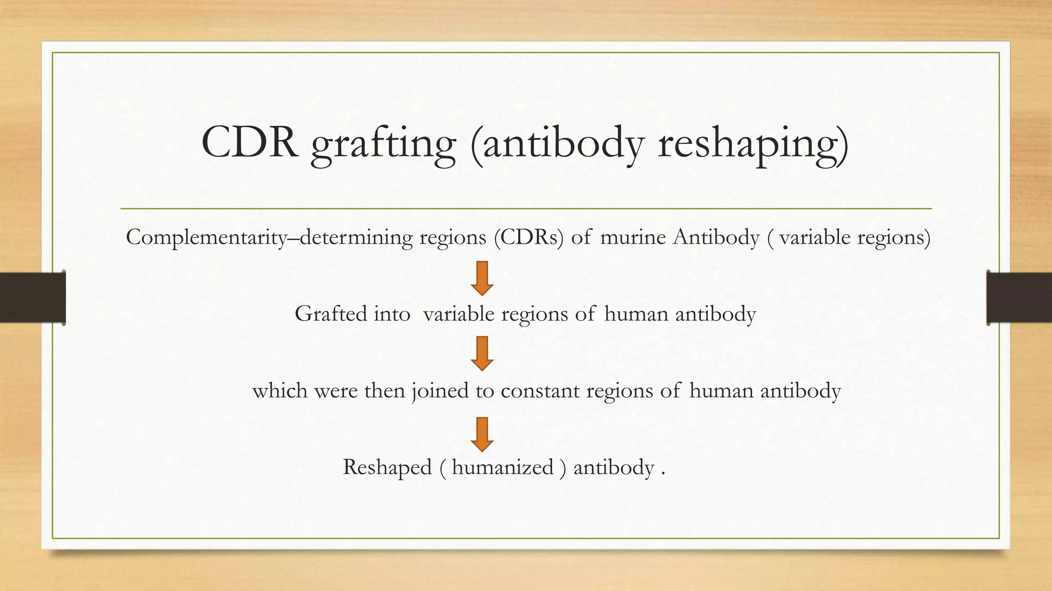 Immunotherapeutics ( types of Immunotherapeutics & humanization ...