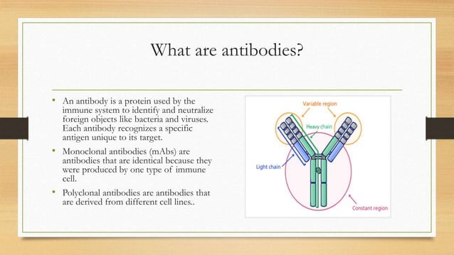 Immunotherapeutics ( types of Immunotherapeutics & humanization ...