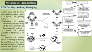 Immunotherapeutics.pptx