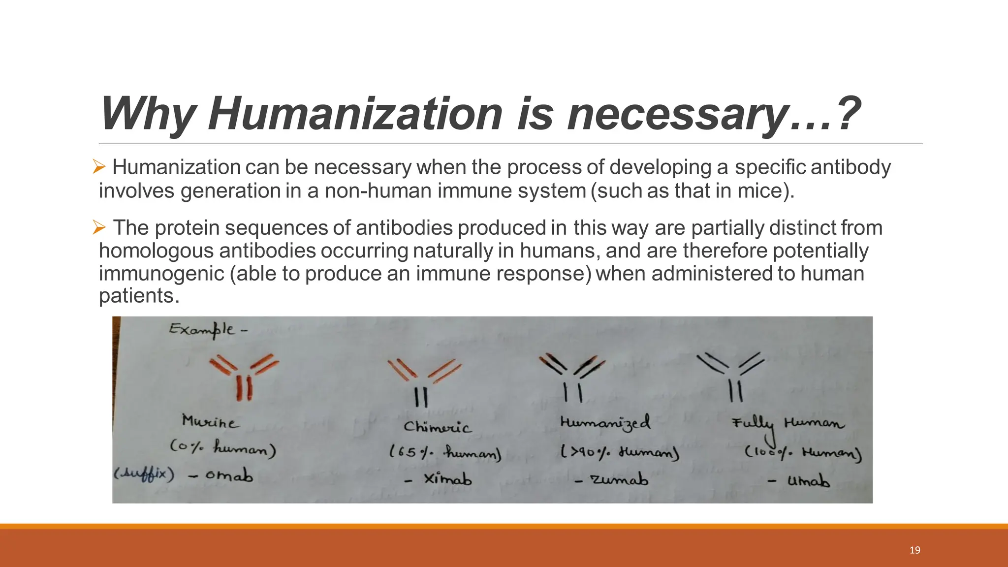 Immunotherapeutics (Types of immunotherapeutics, humanisation antibody ...