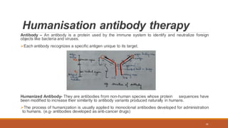 Immunotherapeutics (Types of immunotherapeutics, humanisation antibody therapy ...