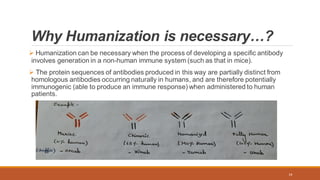 Immunotherapeutics (Types of immunotherapeutics, humanisation antibody ...
