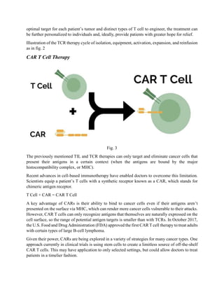 immunotherapeutics History, Classification and Humanization Antibody ...