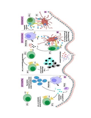 immunotherapeutics History, Classification and Humanization Antibody ...