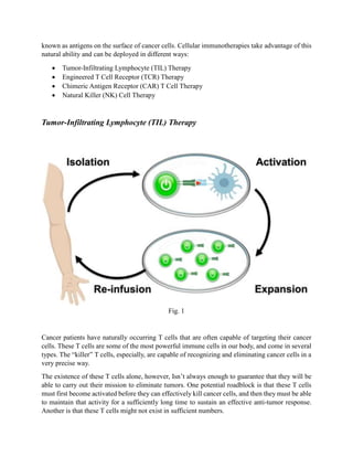 immunotherapeutics History, Classification and Humanization Antibody ...