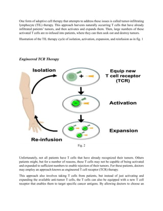 immunotherapeutics History, Classification and Humanization Antibody ...